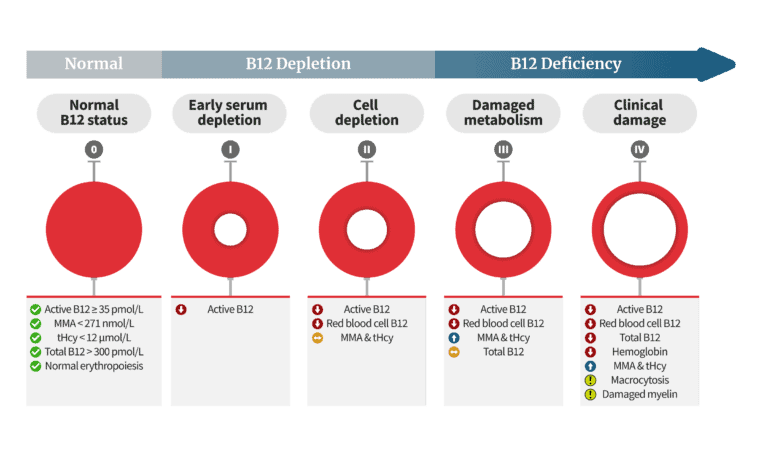 How Long to Recover From B12 Deficiency? • PA Relief
