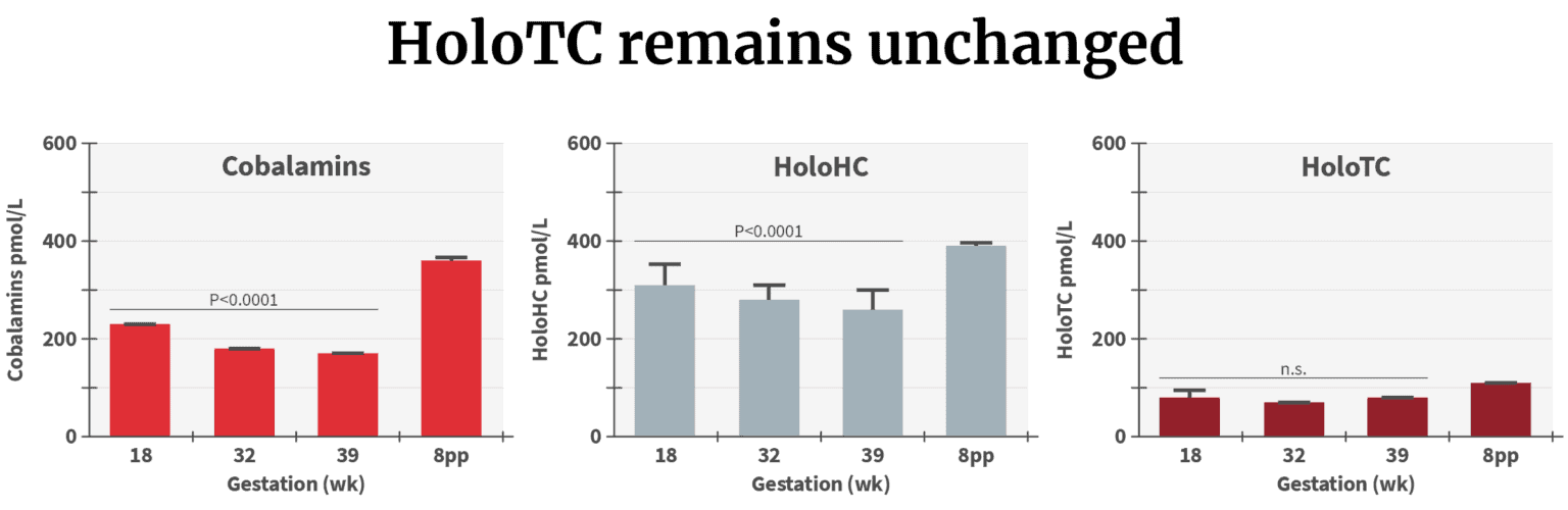 Optimal B12 Levels For Females: Full Explanation • PA Relief