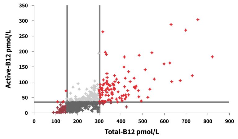 Optimal B12 Levels For Females: Full Explanation • PA Relief